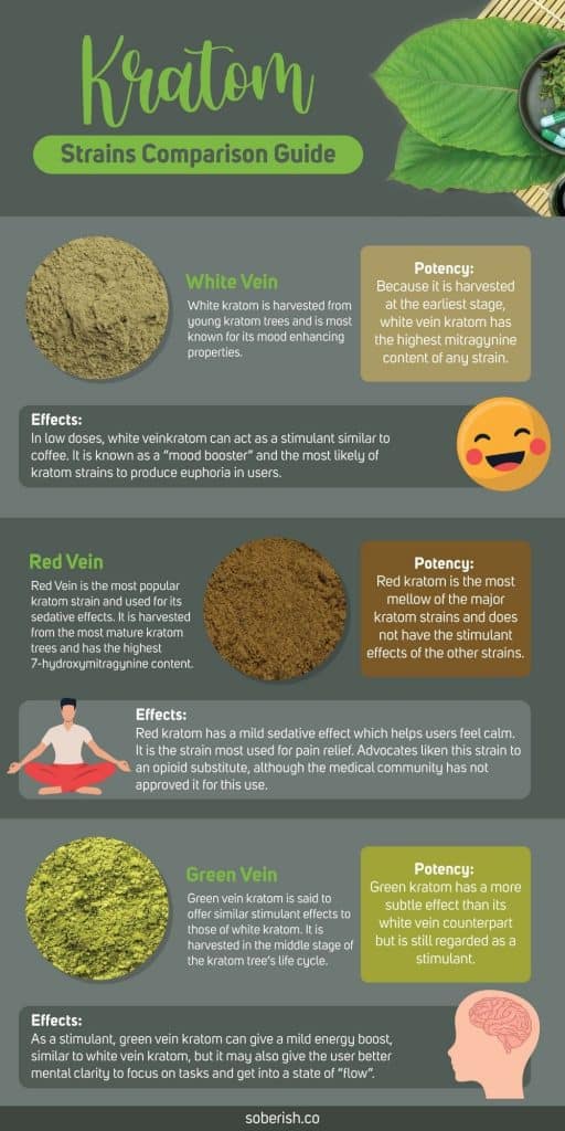 Kratom Strains - What's the Difference and Are They Safe? Kratom Strains - What's the Difference and Are They Safe?