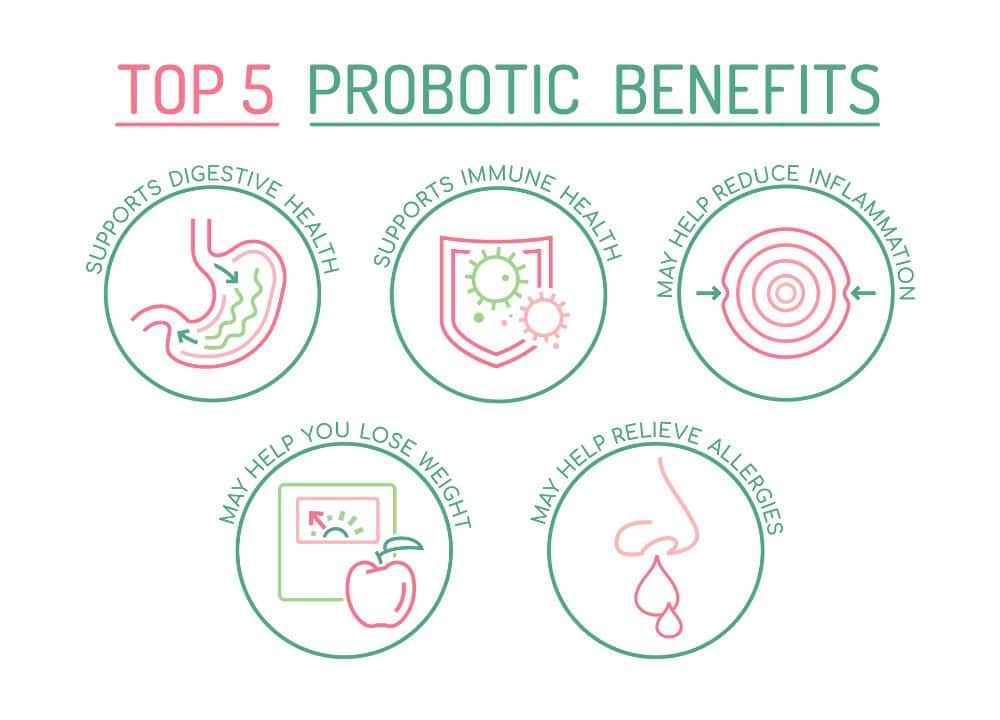 Why Alcohol Harms Your Gut | How to Restore Gut Health After Drinking